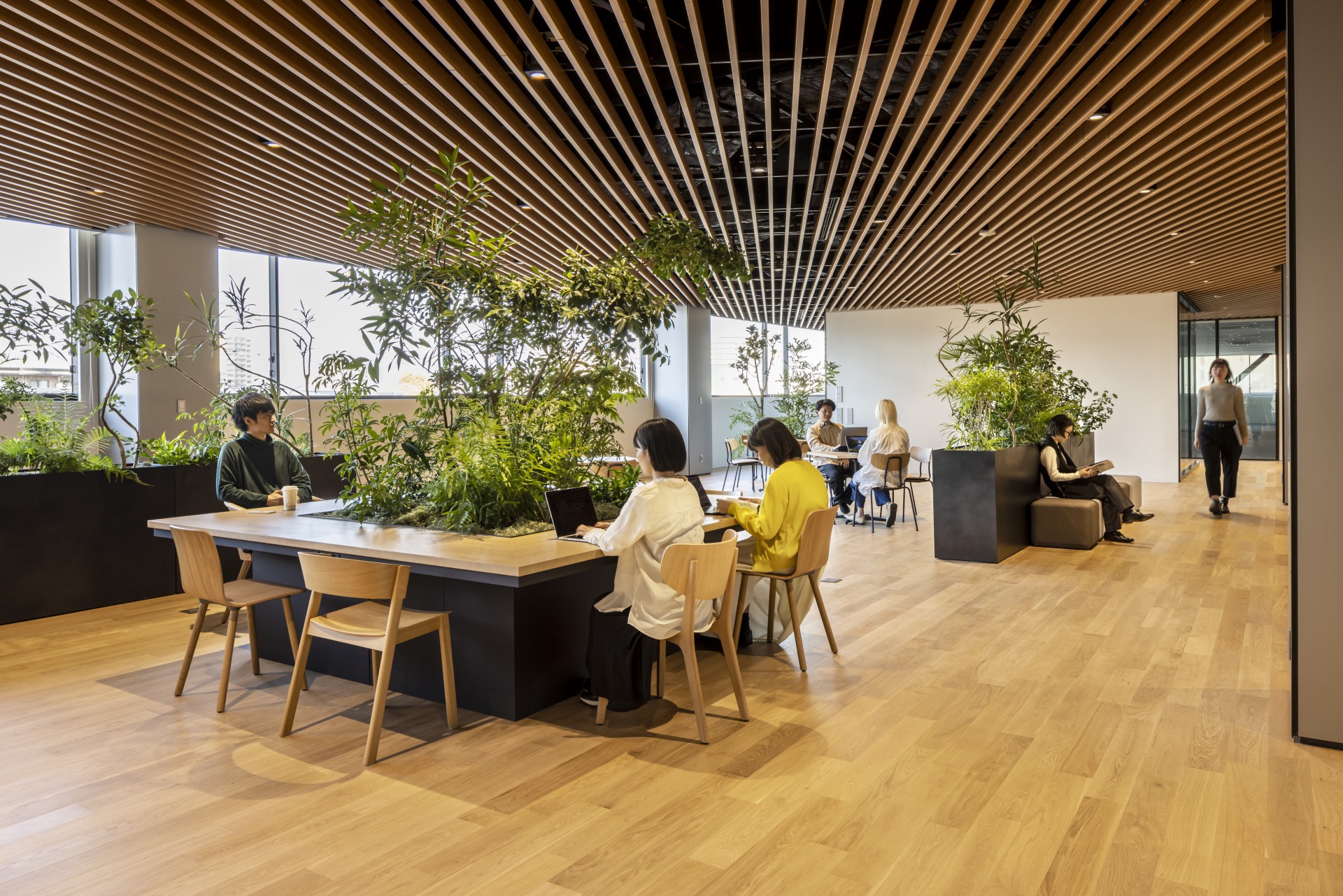 Panasonic XC KADOMA | 住商インテリアインターナショナル